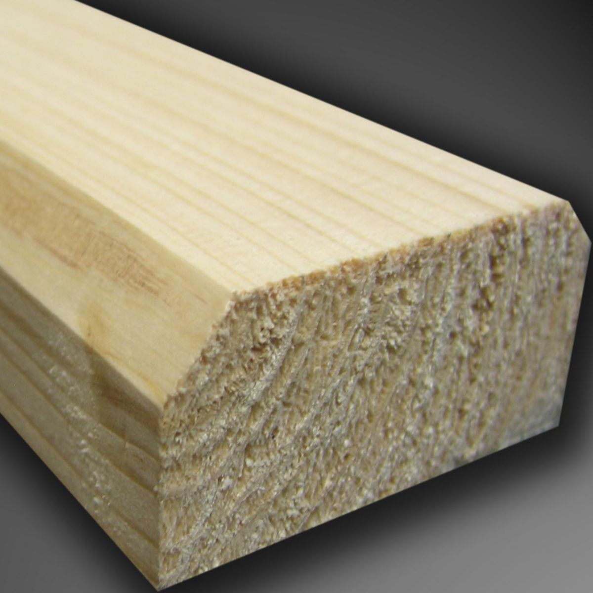 NORSILK - Echarpe à volet Sapin blanc du Nord choix A/B 2 chanfreins ...