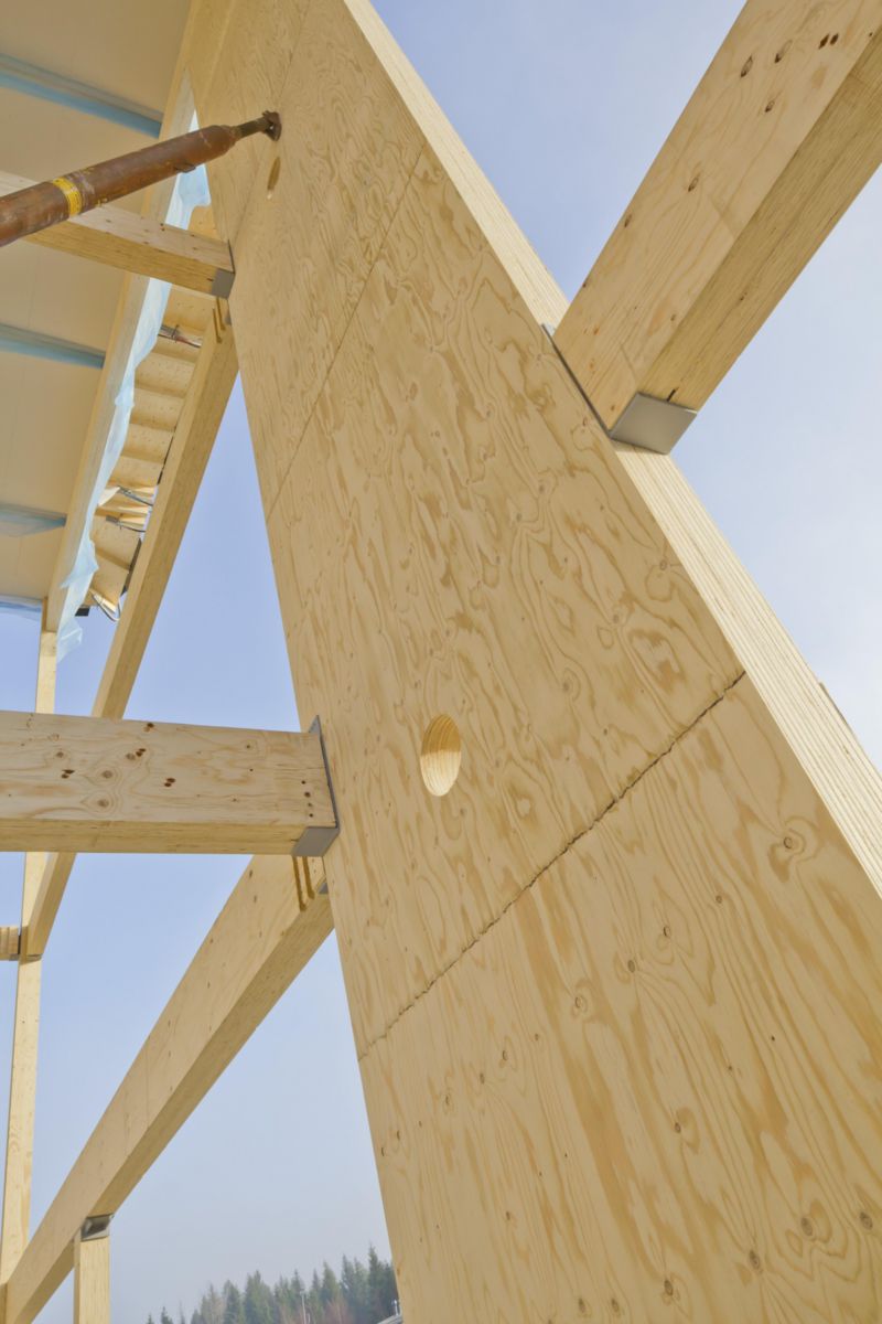 Lamibois Sapin/Epicéa non traité qualité Kerto Q 39x300mm longueur 13 ...