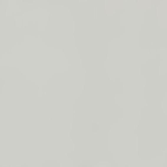 SWISS KRONO - Panneau de particules PPSM U112 - 280x207 cm - ép. 19 mm - Grey lisse | Dispano