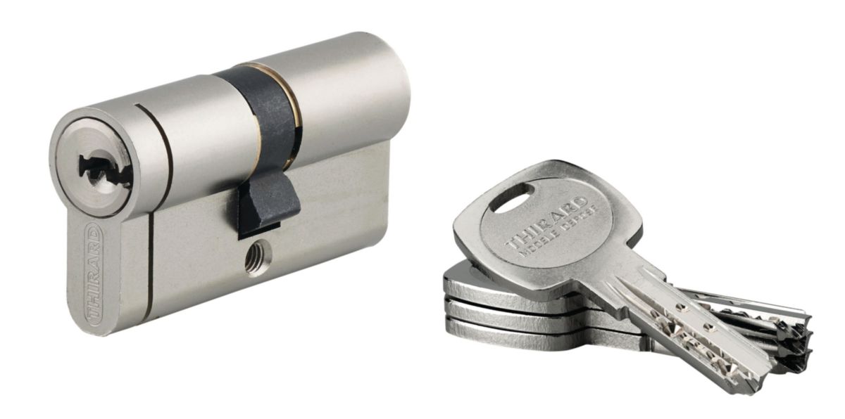THIRARD - Serrure encast monomax nf, axe 50, pdt1/2t cyl, t/br laitonné ...