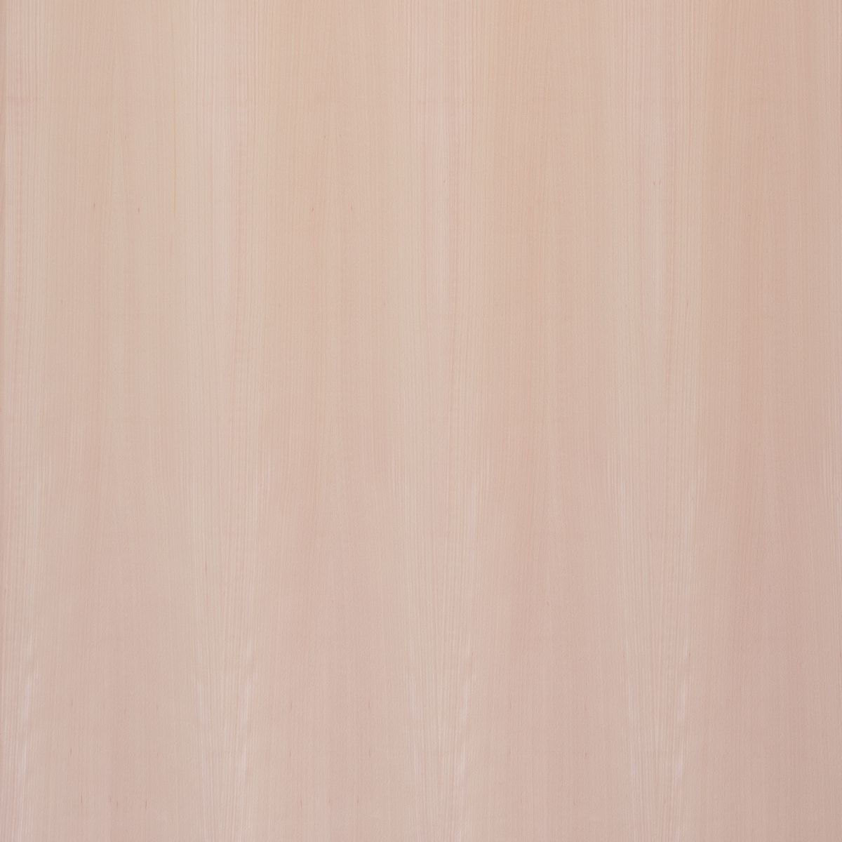 DECOSPAN - Contreplaqué replaqué Hêtre - 305x153cm - ép. 9mm - choix A ...