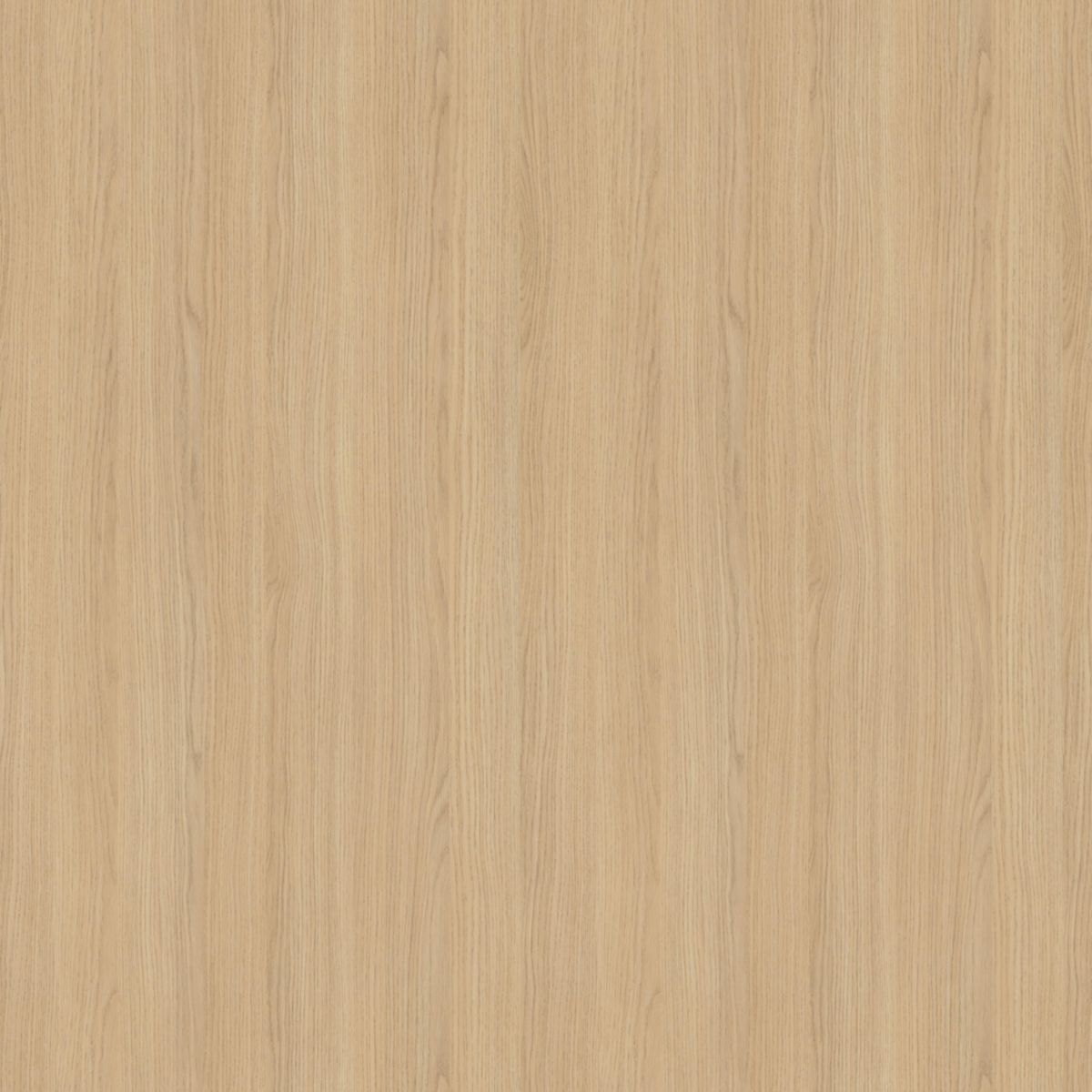 EGGER PANNEAUX - Bande de chant ABS H3157 Chêne Vicenza ST12 23 ép. 2mm ...