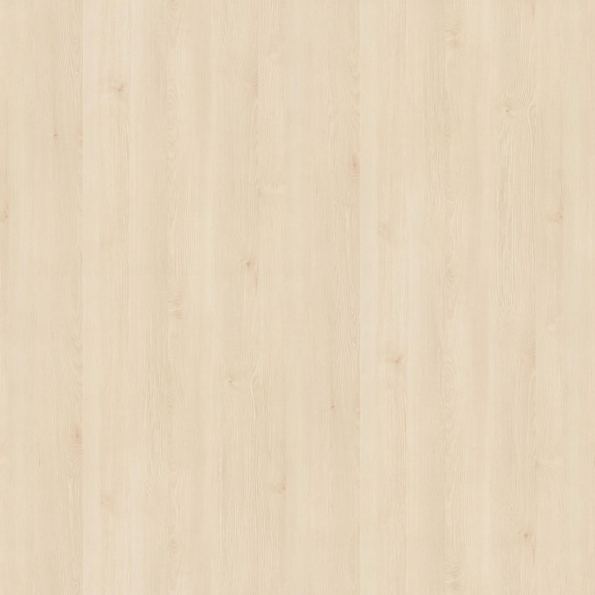 Bande de chant PRO H3433 Pin Aland polaire ST22 23 ép. 1mm rlx de 150m ...