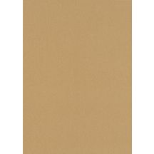 EGGER PANNEAUX - Bande de chant ABS F527 Métal brossé or ST20 23 - ép ...