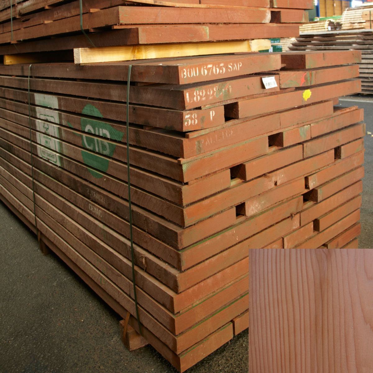 CIBM (CENTRE IMPORT BOIS) - Avivé Red Cedar clear 2 105x205mm | Dispano
