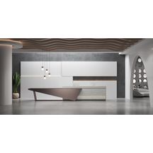 DURASEIN - Panneau résine de synthèse DM5027 Blossoming - 366x76cm - ép ...