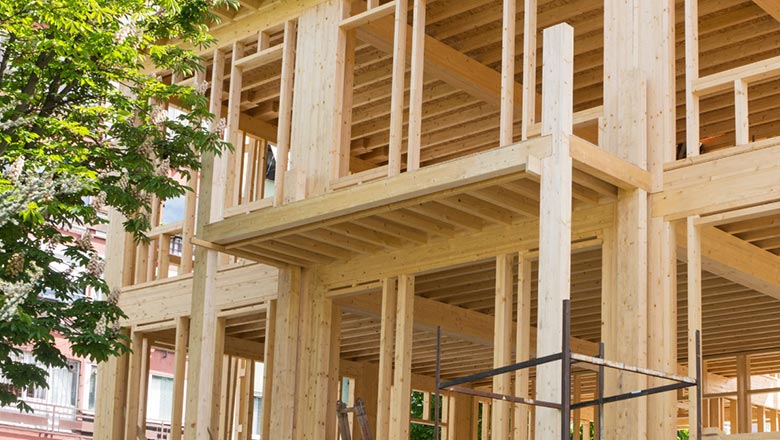 Quel bois est le douglas ? | Dispano