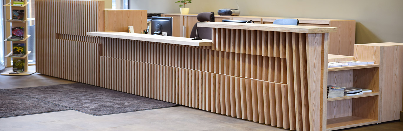 CONTREPLAQUÉ TOUT BOULEAU | Dispano